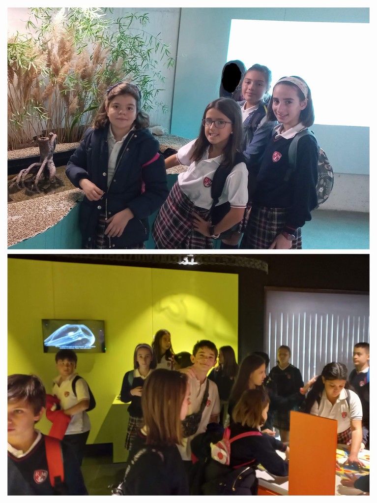 Visita al Museo de la Ciencia – Rafaela María – Valladolid